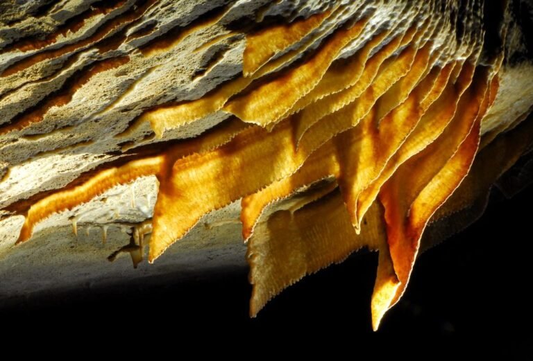 What are speleothems? - Electrical e-Library.com