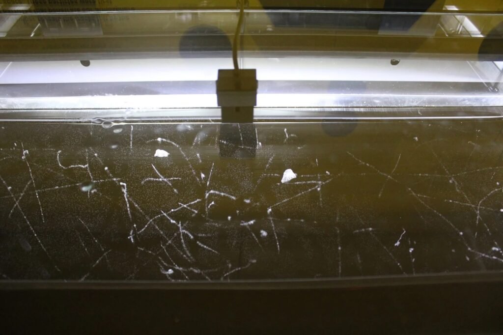 Wilson chamber: what is it and how does it work? - Electrical e-Library.com